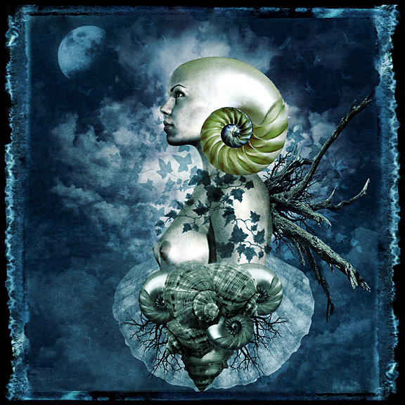 Featured Artist Andrew Binder | Artsy Shark