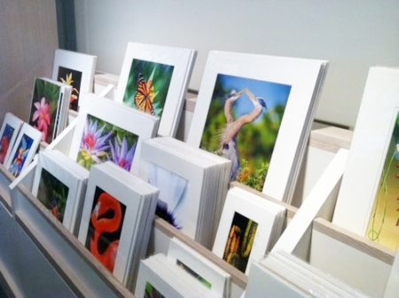 Selling Art and Craft to Museum Shops | Artsy Shark