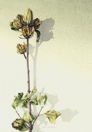 Featured Artist Steven Morris | Artsy Shark | Inspiring Artists to ...