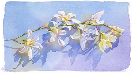 Featured Artist Marlies Merk Najaka | Artsy Shark | Inspiring Artists ...