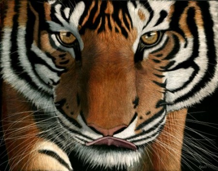 Featured Artist Sue Kroll | Artsy Shark | Inspiring Artists to Build ...