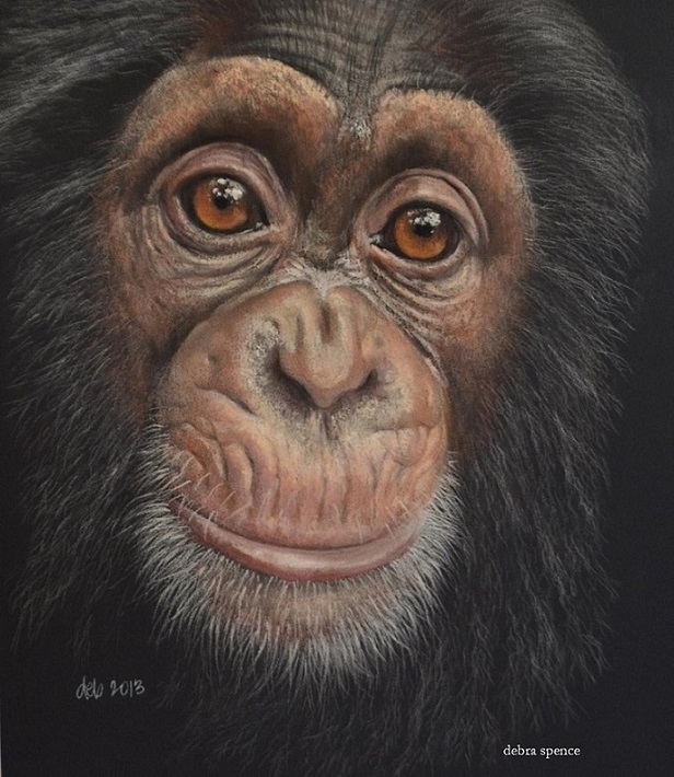 Featured Artist Debra Spence | Artsy Shark | Inspiring Artists to Build ...