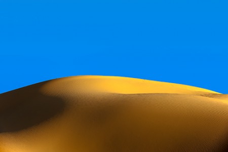 Featured Artist Jennifer Magallon | Artsy Shark