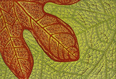 Featured Artist Elizabeth Busey | Artsy Shark