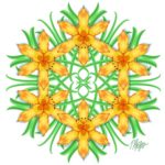 Featured Artist Tim Phelps | Artsy Shark