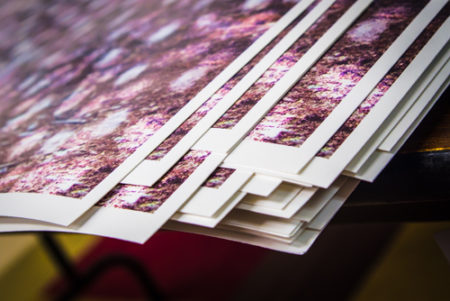 What Artists Must Know about Fine Art Printing | Artsy Shark