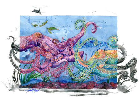 Florida Wildlife and Sealife Paintings by Amber Moran I Artsy Shark