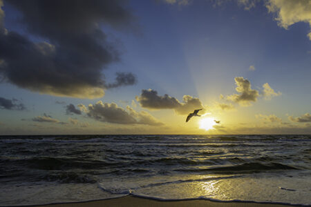 Urban and Seascape photography by Adam Hong I Artsy Shark