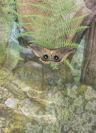Featured Artist Allison Inglesby | Artsy Shark