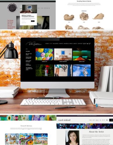 Artist Website & Marketing Assistance - Artsy Shark